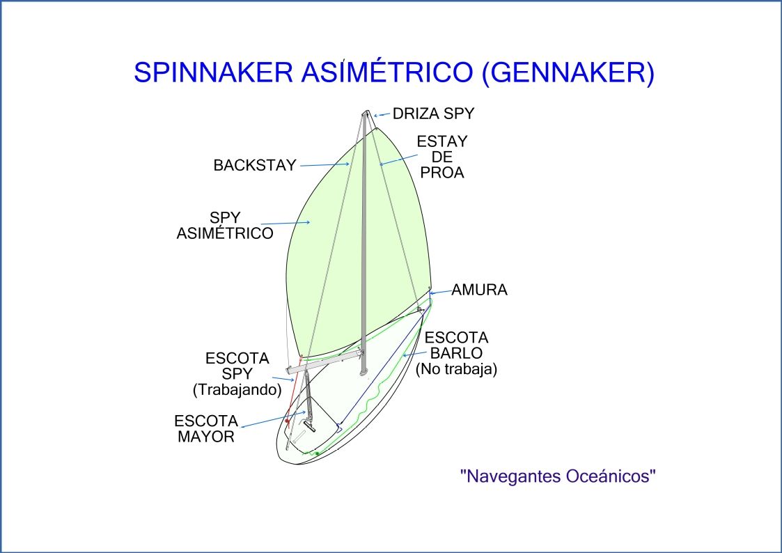 Tipos de spinnaker - Navegantes Oceánicos