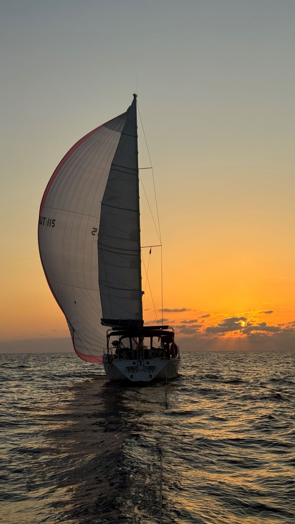 Sailing Marlin. Natural Equilibrium - Navegantes Oceánicos